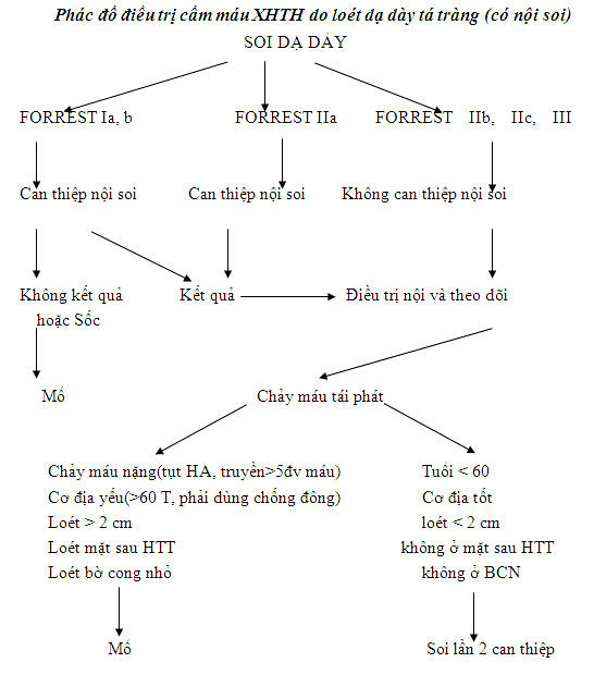 Chẩn đoán và cấp cứu xuất huyết tiêu hóa cao - Kukumin IP